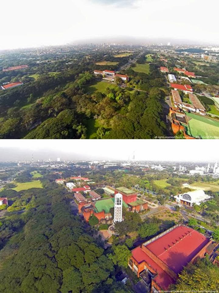 Travel and Tourism: UP Diliman's Trees, Sunken Garden