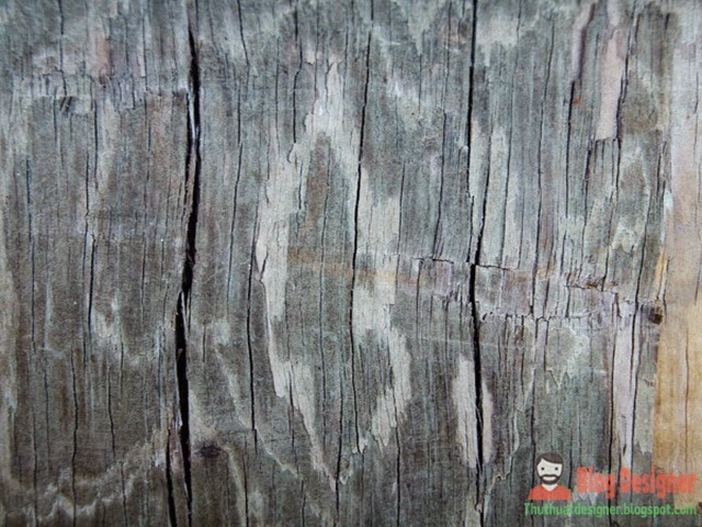 Texture gỗ và tường đẹp cho Designer | Blog Designer | Website | Lập ...