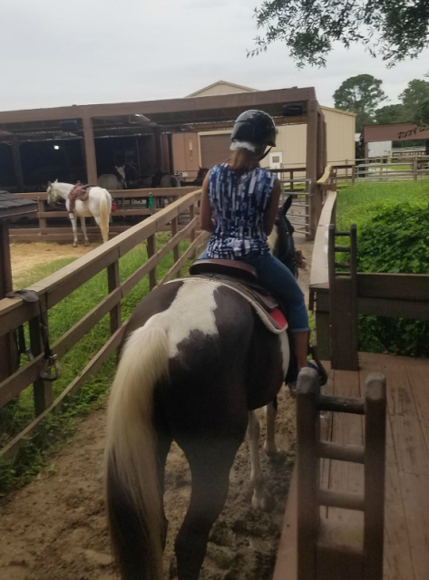 Fairytales and Fitness: Horseback Riding at Disney World