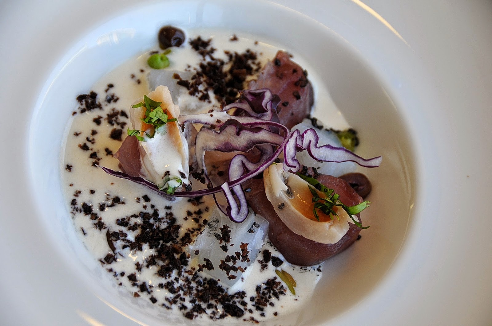 armadillo bar | vino-cibo e musica: Riviera Food Festival | 60 scatti ...