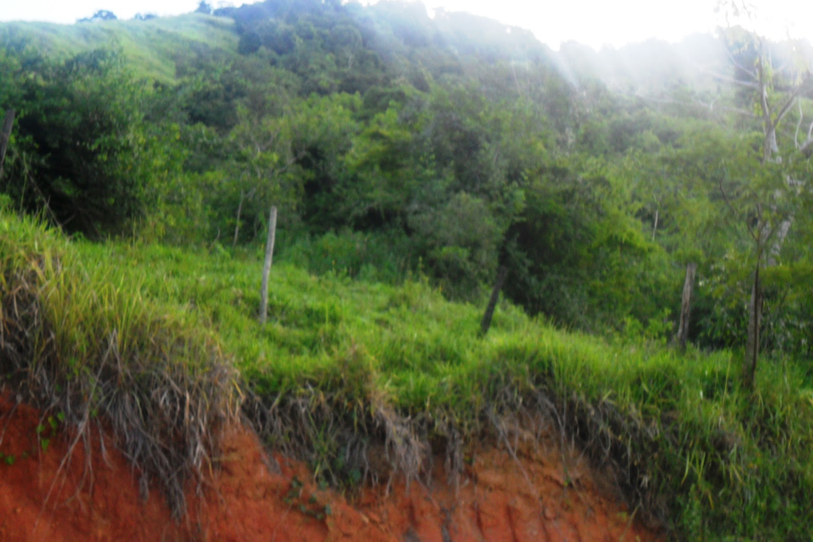 BIONEL: AS MATAS E OS PEQUENOS PRODUTORES RURAIS