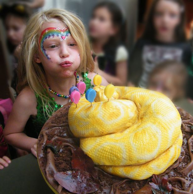 Python Cake ~ Al Mubins