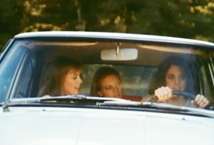 El señor de los bloguiños: Demencial (1982) de Don Gronquist