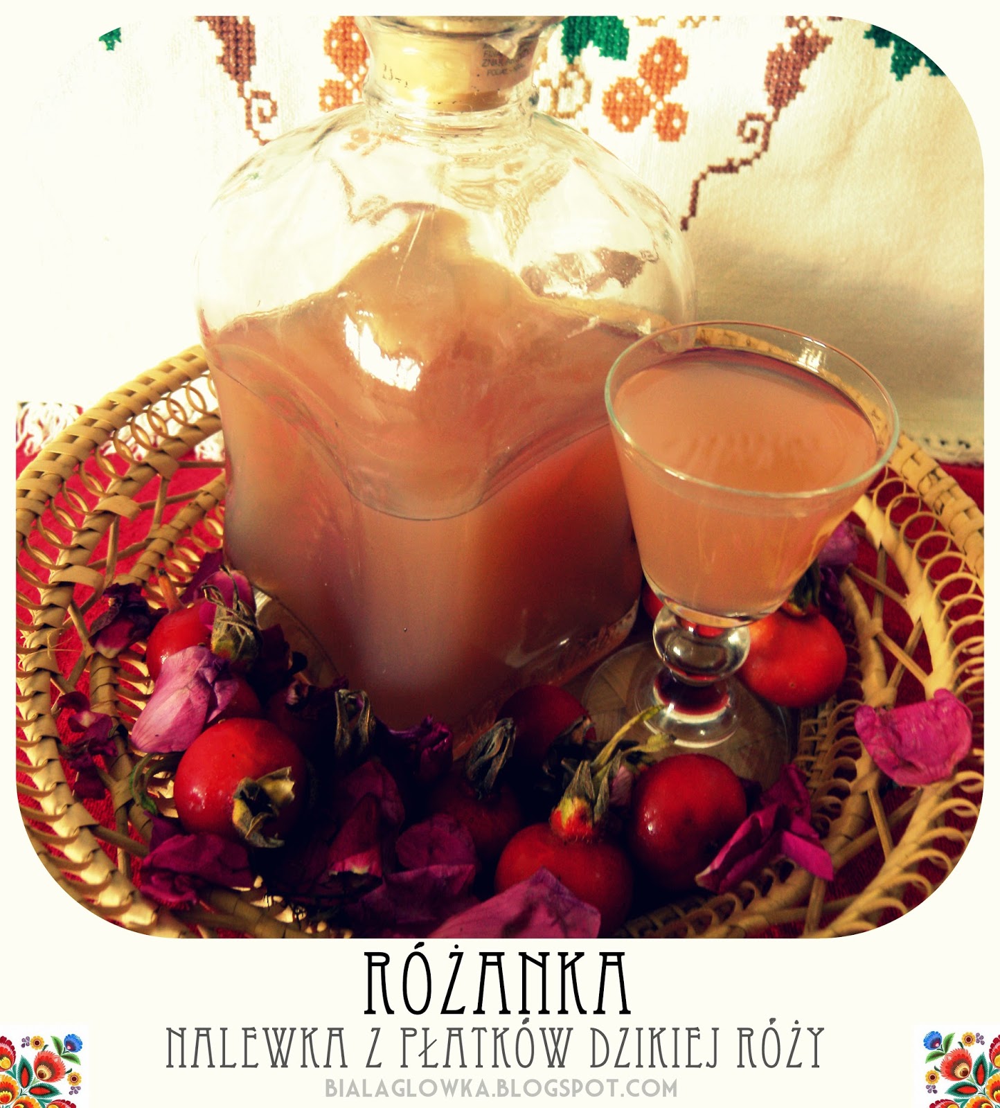 Kuchenna Kontrrewolucya: Różanka - nalewka z płatków dzikiej róży