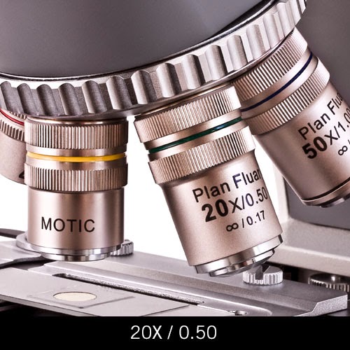 Motic Europe | Blog: Basics of Light Microscopy: Resolution & Magnification
