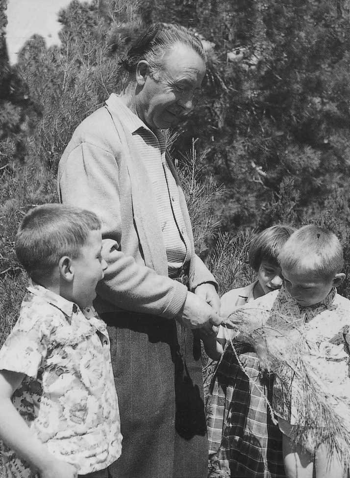 FUTUROS DOCENTES---- ORGANIZACIÓN : Metodología y atención a la ...