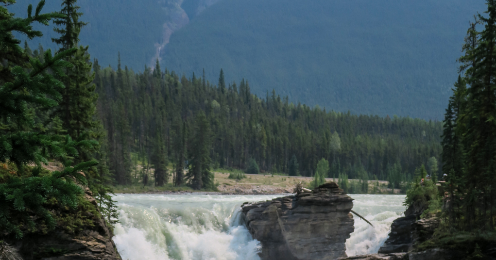 A Map and a Mustang: Marvelous marmots