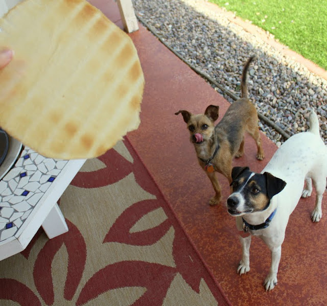 Ham and Cheese Crepes Recipe