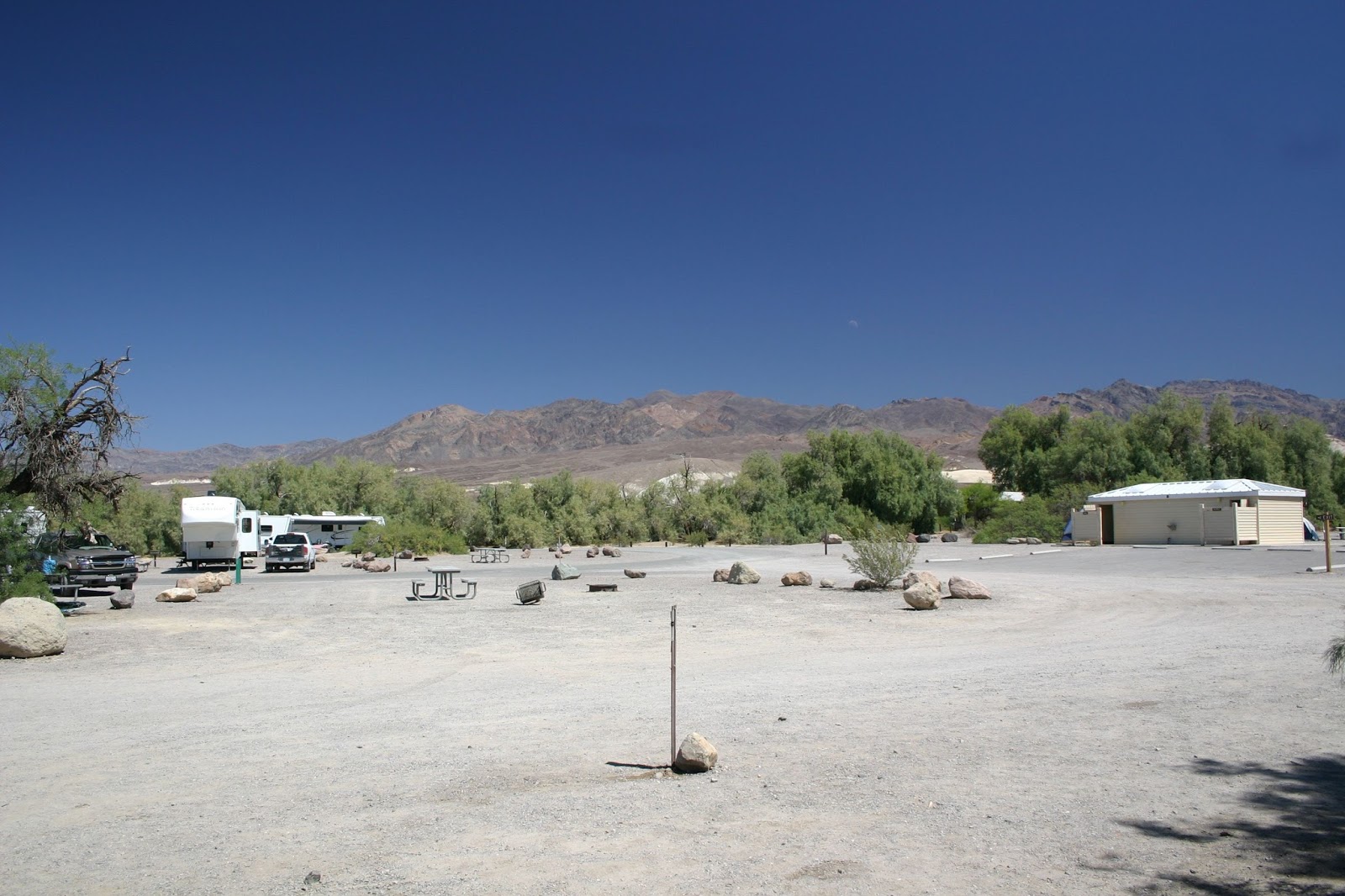 Running From Moose: A Dry Heat: Death Valley Camping
