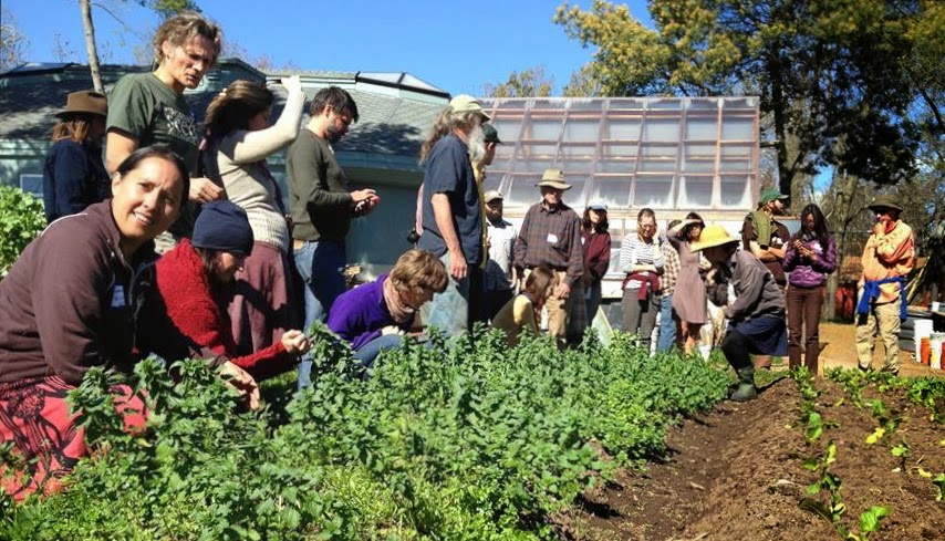 Seed Revolution Now!: Working Together To Build The California Seed Network