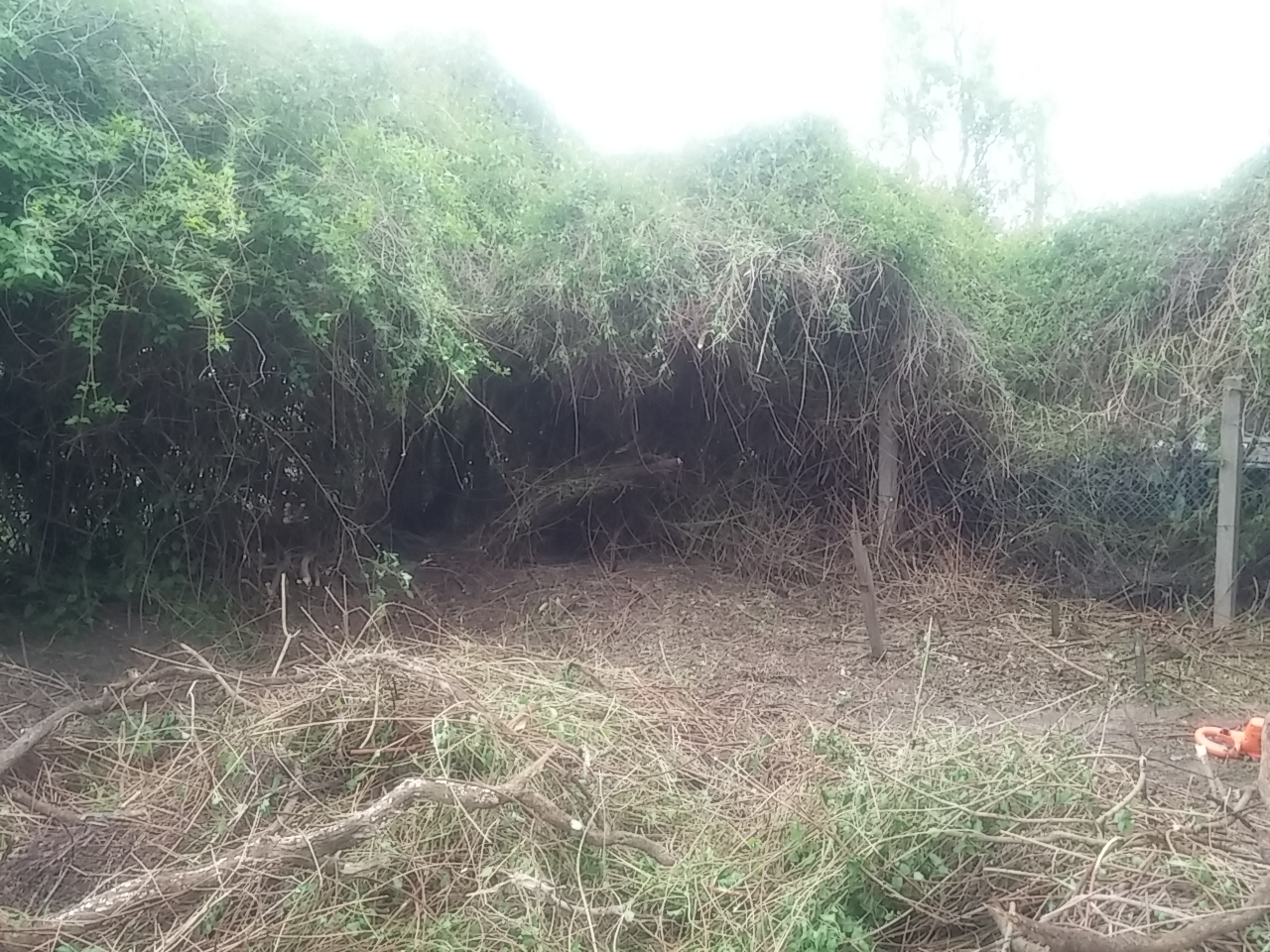 Wir bauen uns ne Butze: Wie alles begann und wo wir jetzt sind...