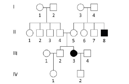 Science and Technology: Pedigree Analysis with Examples
