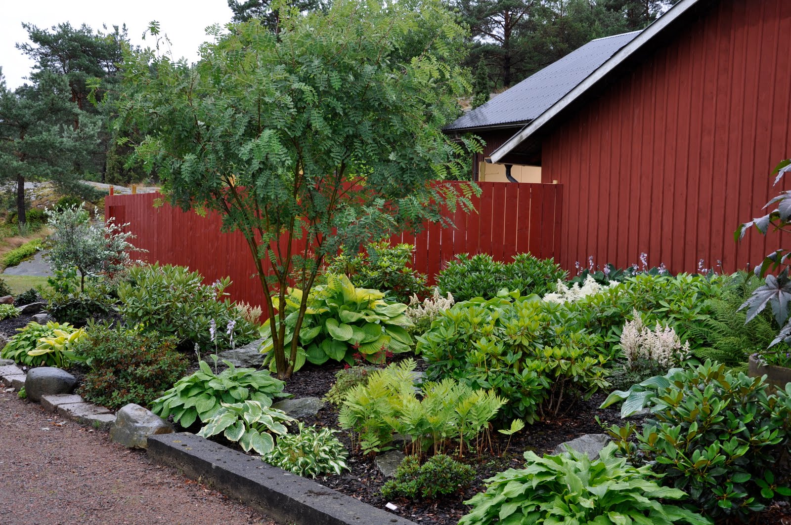 Alen Trädgård Vad Ska Jag Plantera