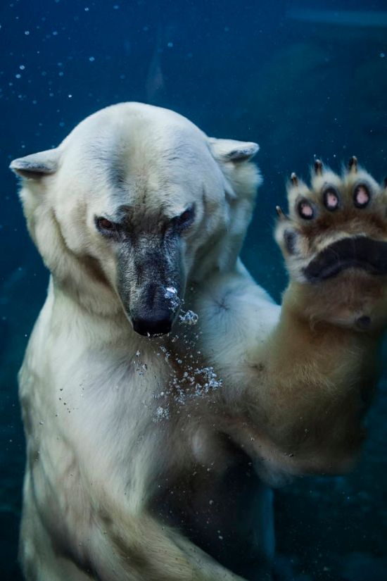 Beautiful World : Fresh Collection of Amazing, Funny and Beautiful Pics