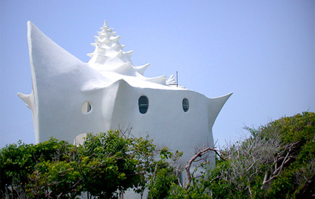 Selvage Blog: Carribbean Seashell House