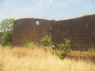 Beautiful Konkan!!: Anjanvel, Ratnagiri district, Maharashtra.