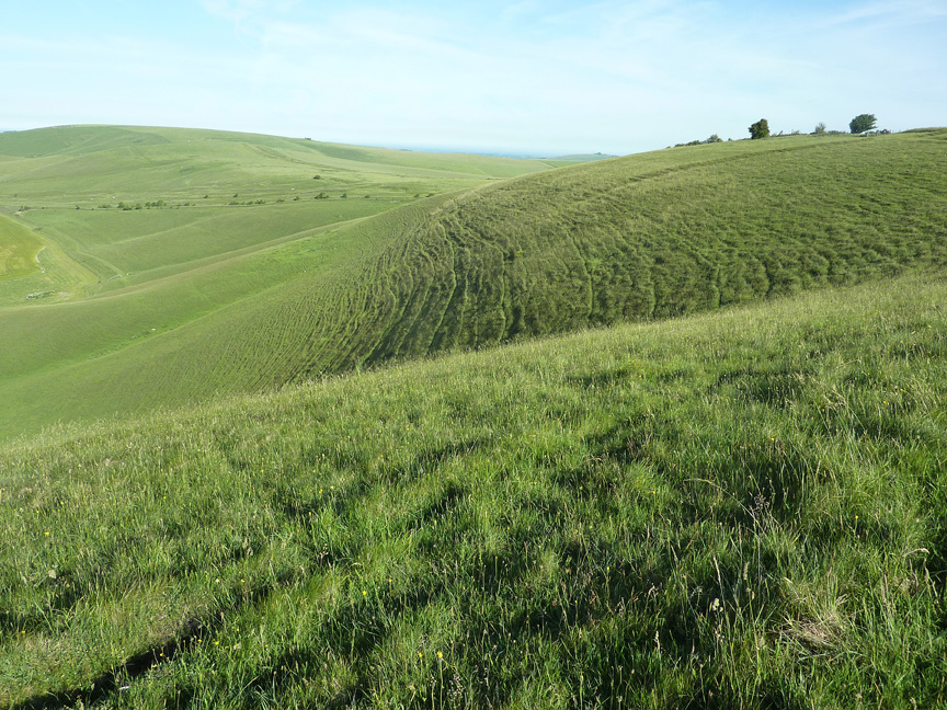 Pewsey Downs