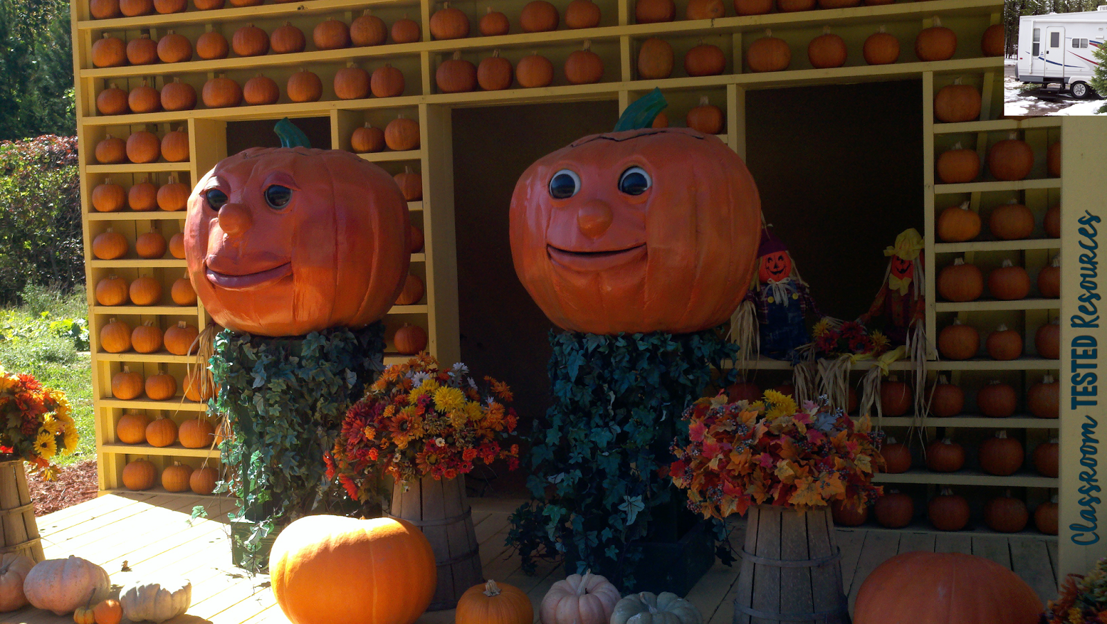 Awesome Autumn: Pumpkin Time! | Classroom Tested Resources