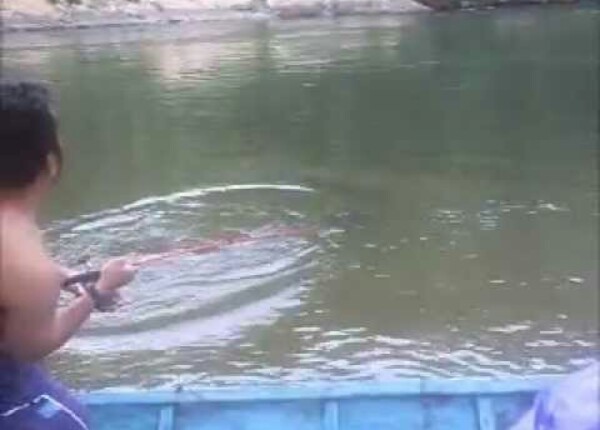 Romancing Borneo: Borneo Most Expensive Fish - Empurau