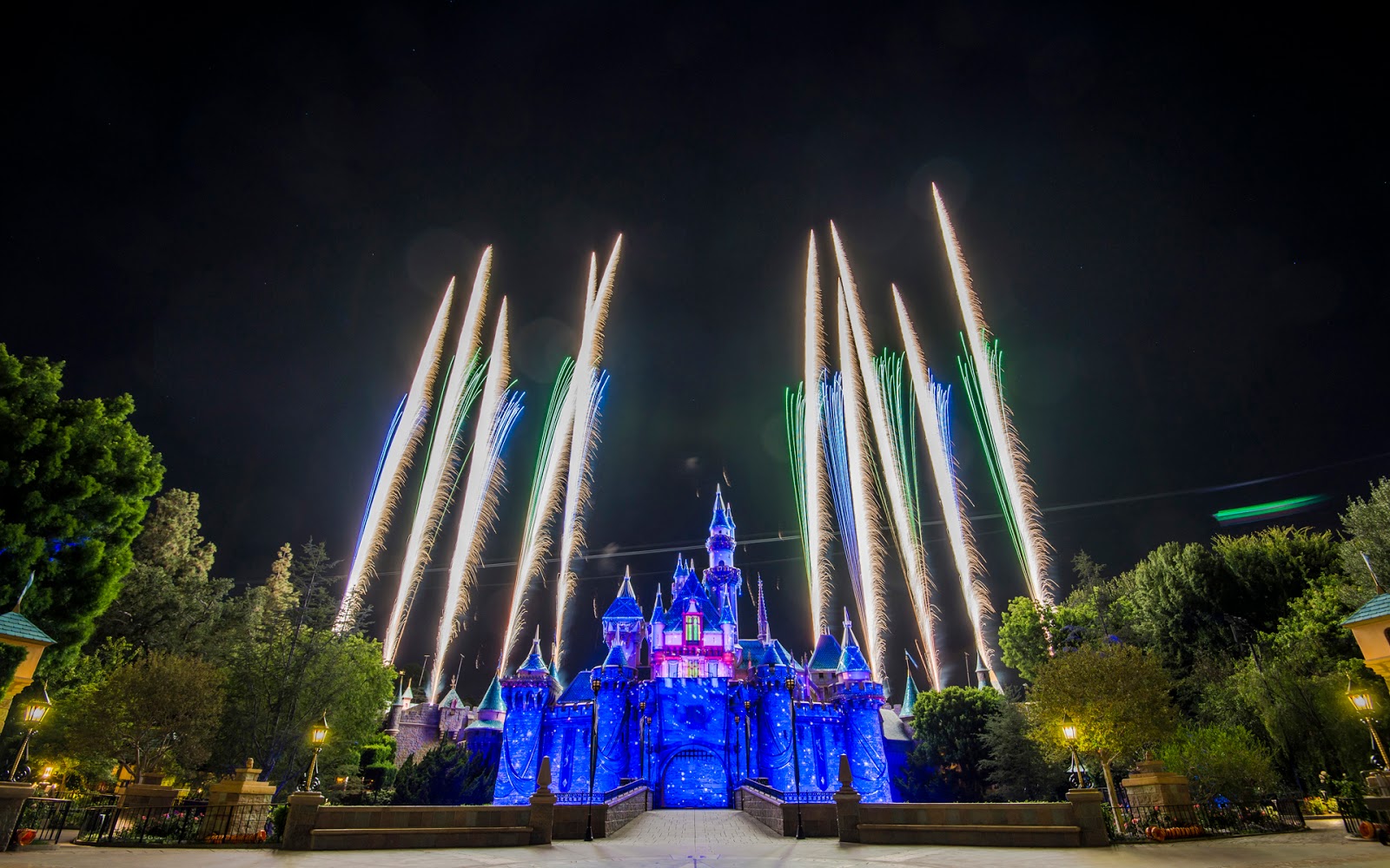 Disneyland Forever and Ever