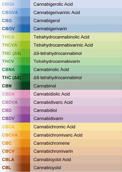 Hemp Edification: Cannabinoids Overview. CBG-a, The Precursor, and CBG