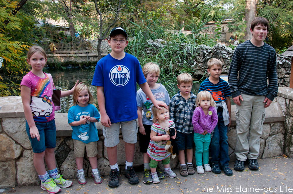 So many animals (and kids!), yet so little time…