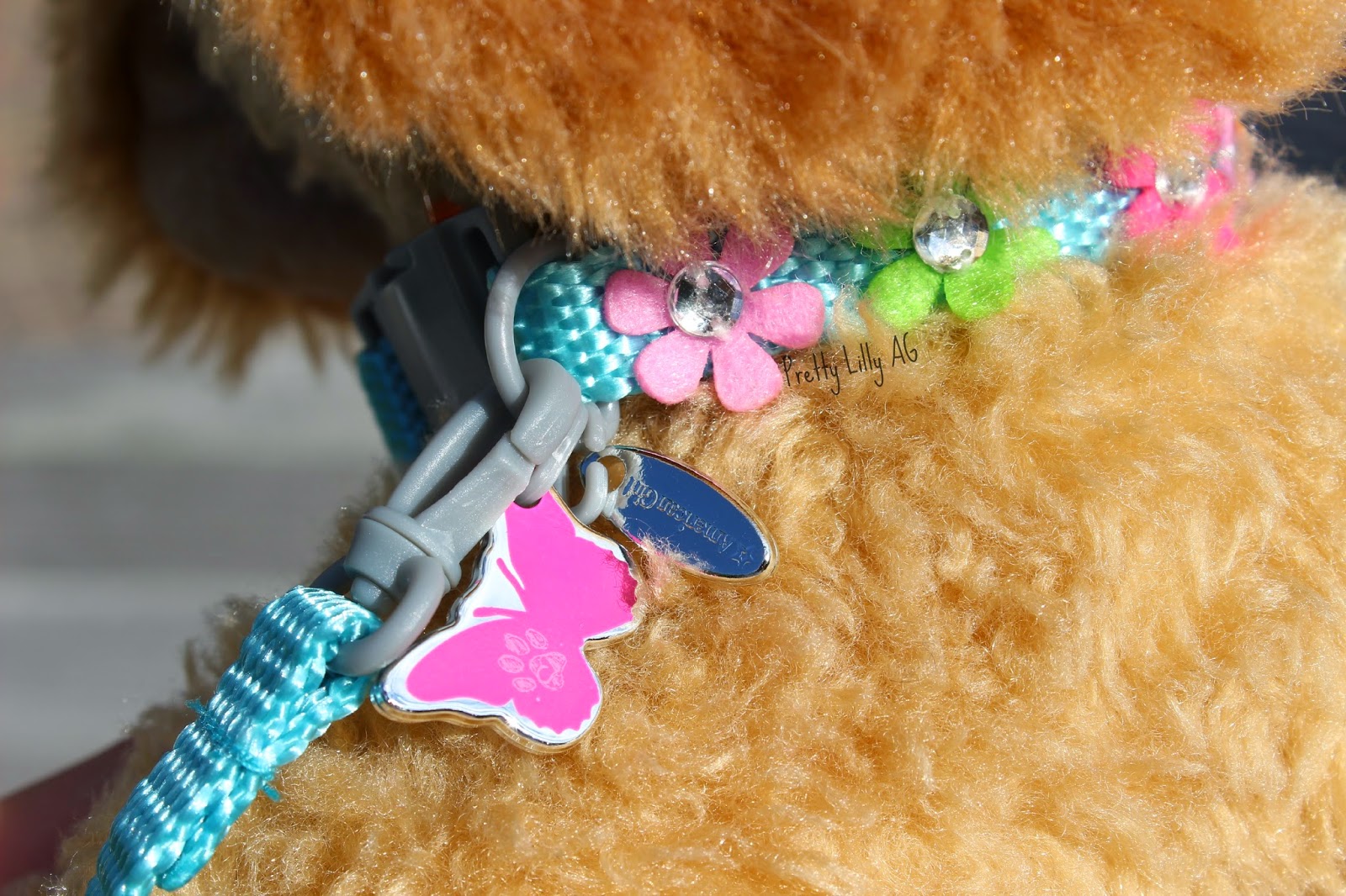 Pretty Lilly an American Girl: Leashes and collars for dogs