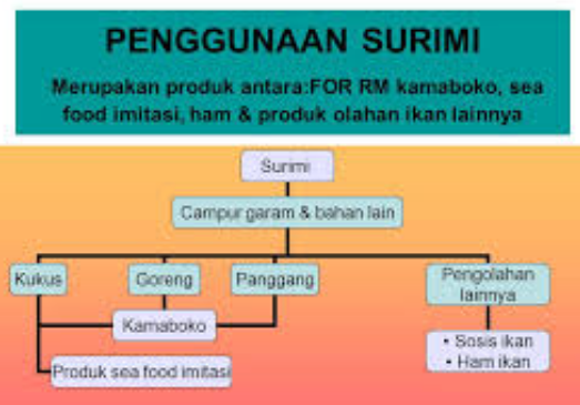 Proses Pembuatan Dan Pengolahan Surimi