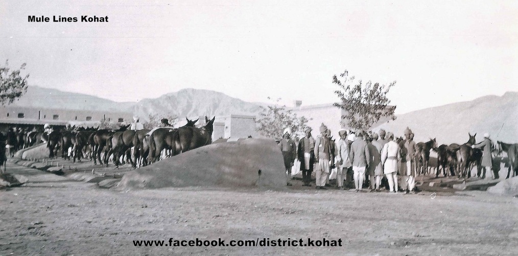 Kohat The Prince of Mountains: District Kohat in History