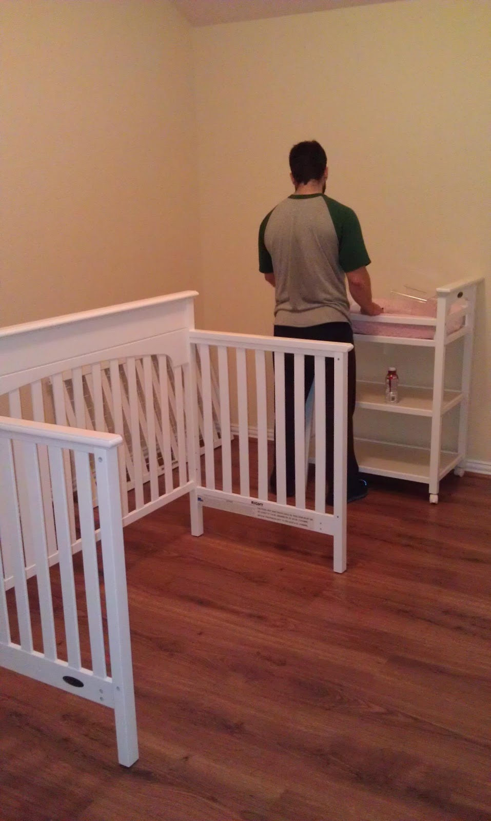 DIY Girl!: Nursery on a Budget!