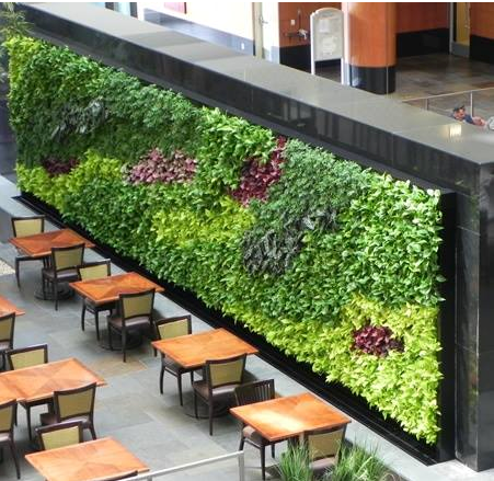 ΤΑΡΑΤΣΟΚΗΠΟΣ...Ο ΚΗΠΟΣ ΤΩΝ ΠΟΛΕΩΝ: Πράσινος τοίχος η κάθετος κήπος ...