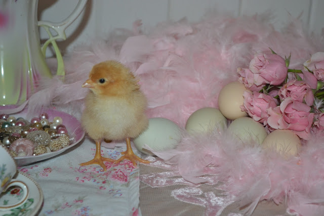 French Blue and Peachy Pink: A Chicken Goes To A Tea Party.....My ...