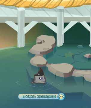 Animal Jam Active Blog: Journey Guide