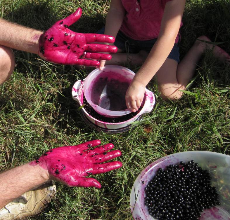 Working The Roots: Over 400 Years of Traditional African American ...