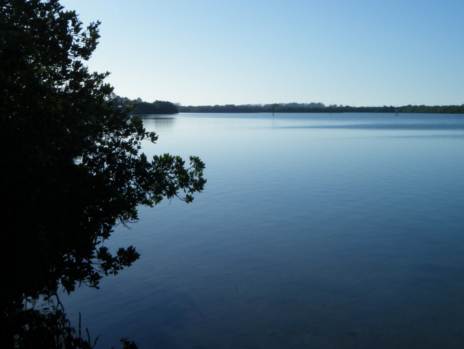 Field Notes and Photos: Don Pedro Island State Park: Sierra Club Paddle ...