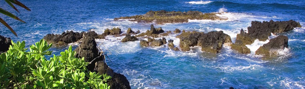 FREE WEB HEADERS: 20+ AMAZING NATURE HD WEB HEADER COLLECTION 1