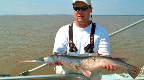 Big Fishes of the World: GAR LONGNOSE (Lepisosteus osseus)