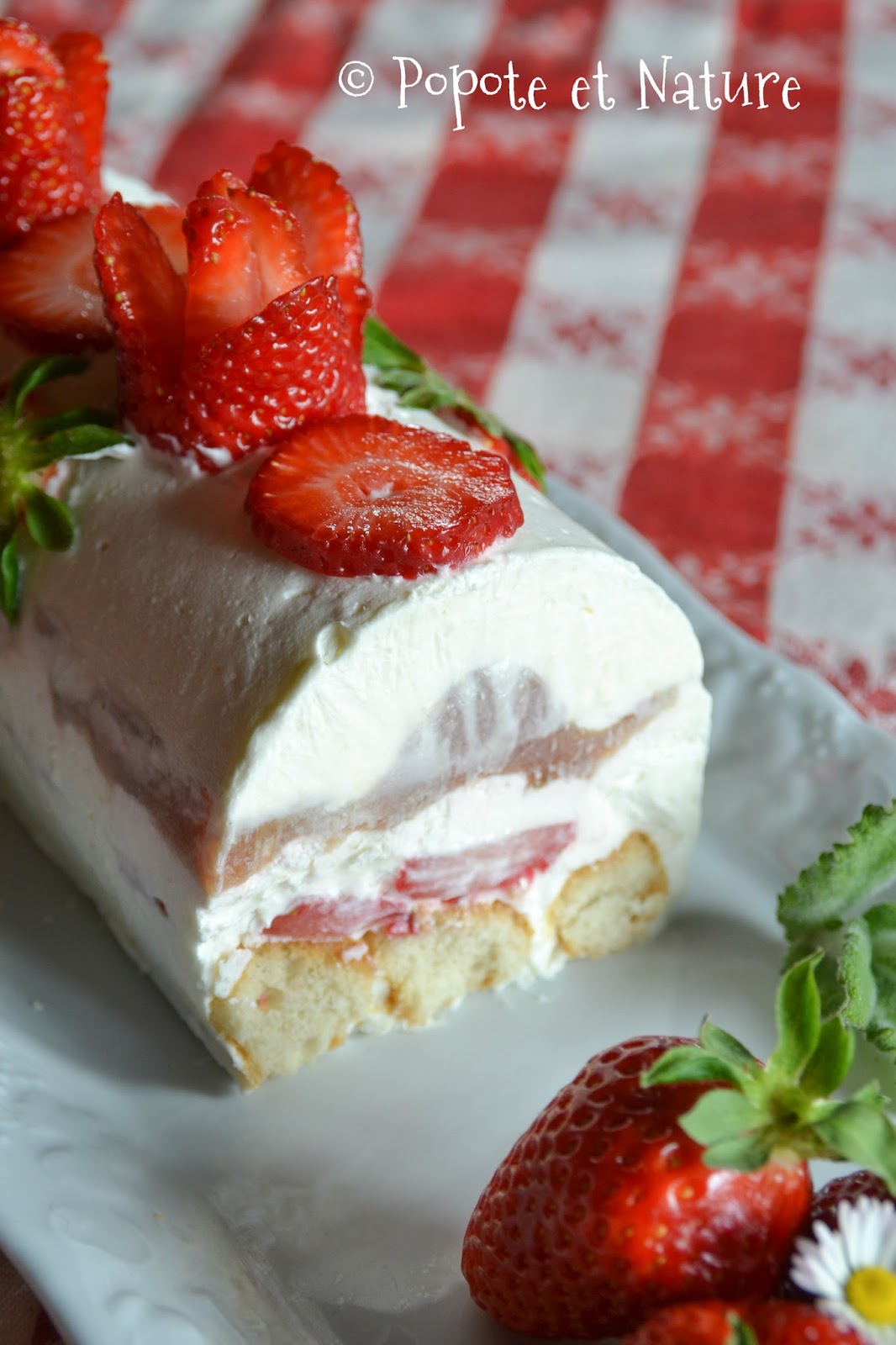 Popote et Nature: Une bûche glacée facile aux fruits de saison