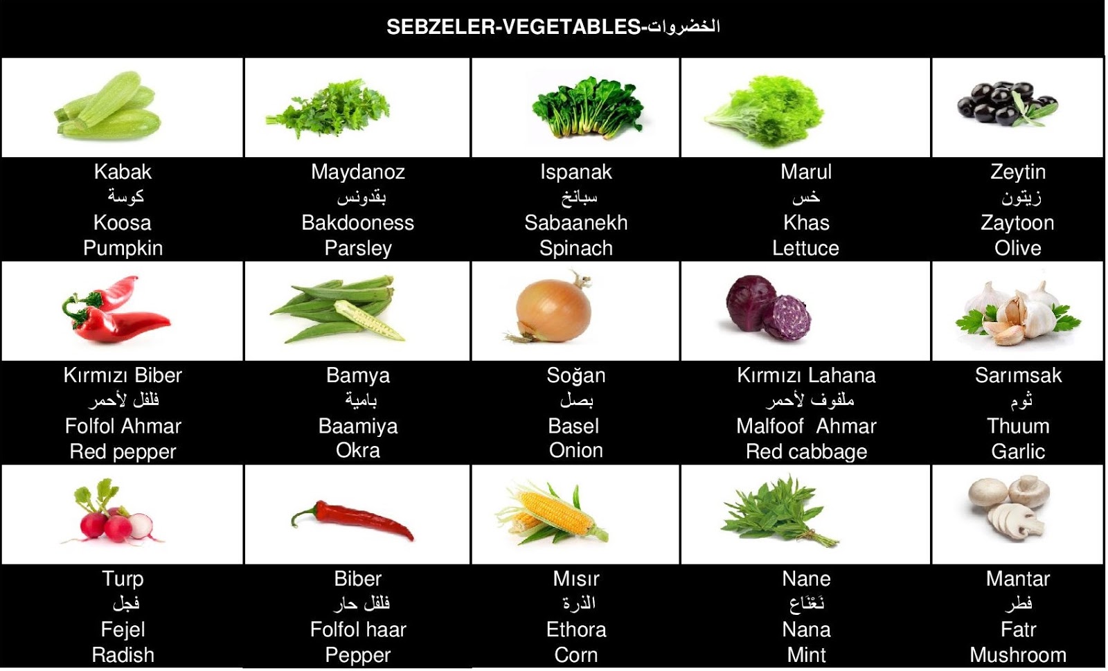Merve Harikalar Diyarında: Arapça Sebze İsimleri Ve Telaffuzları