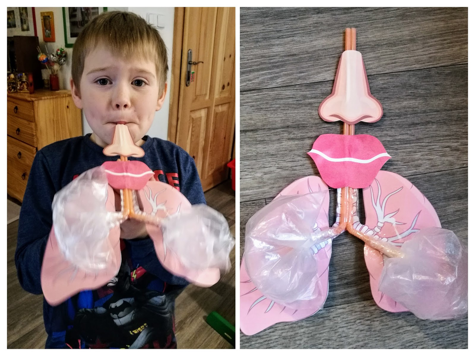 Nevyléčitelná optimistka: Vyrobte si model ruky a plic aneb učíme se hrou