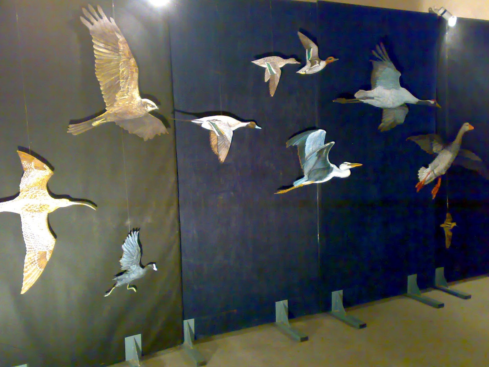 Alessandro Sacchetti - Wildlife Painter: La tappa della mostra "in ...