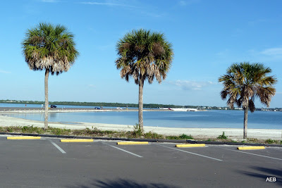 Where ever I go...: Fred Howard Park, FL