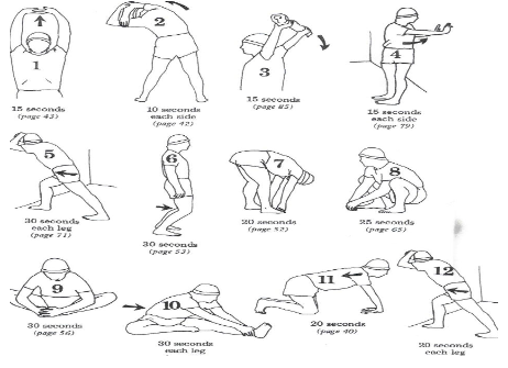 Fitness Testing For Sport And Exercise: Strengths, Weaknesses and Areas ...
