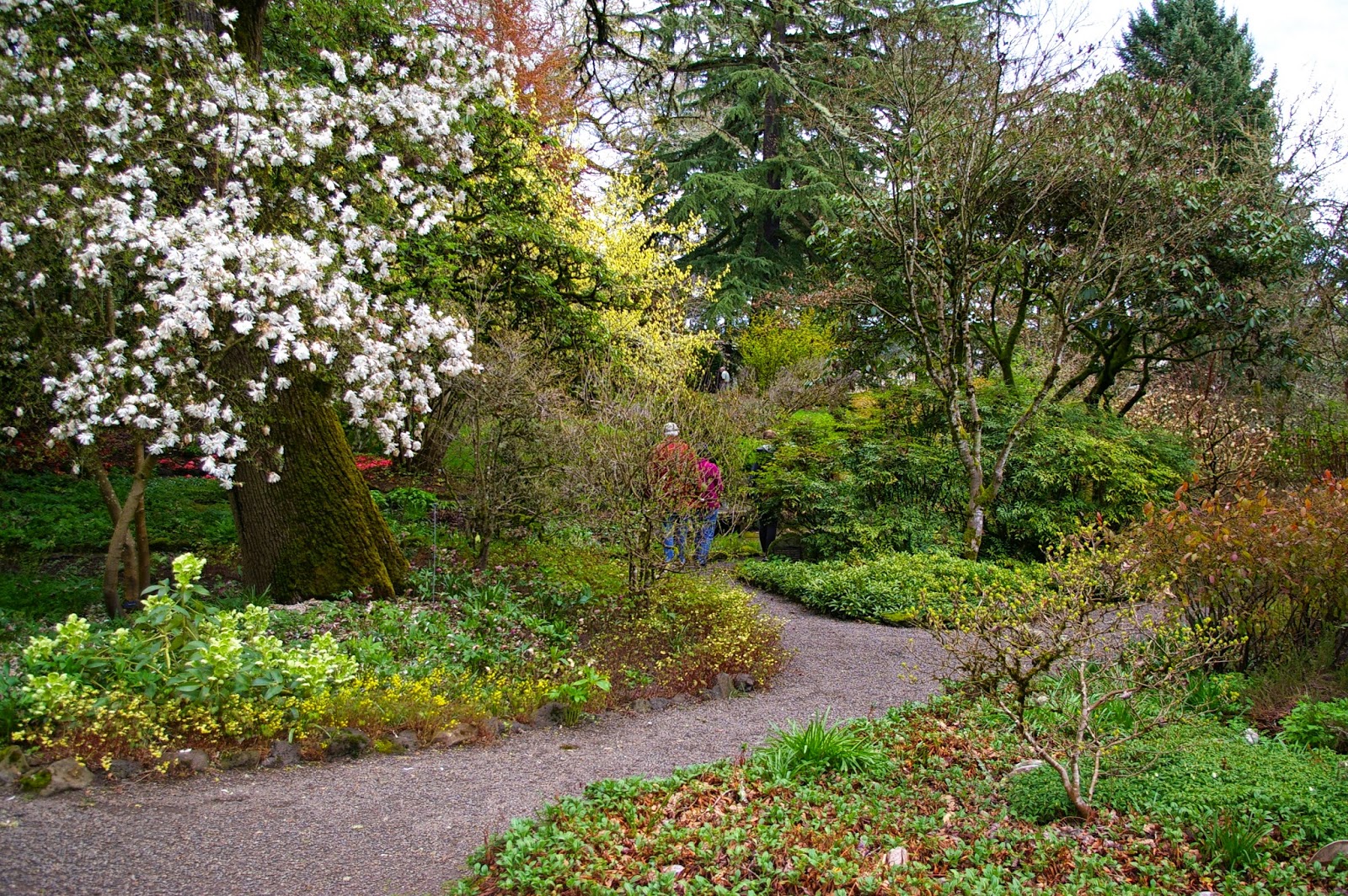 Tied Up In Ribbon: Portland's Secret Garden