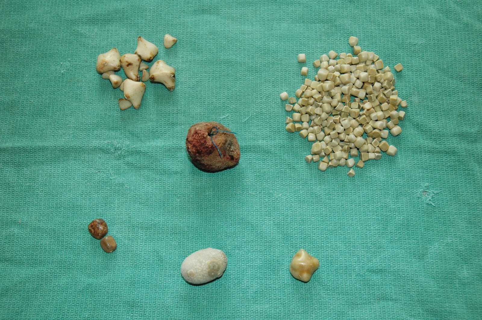 Earthwide Surgical Foundation: July 2012