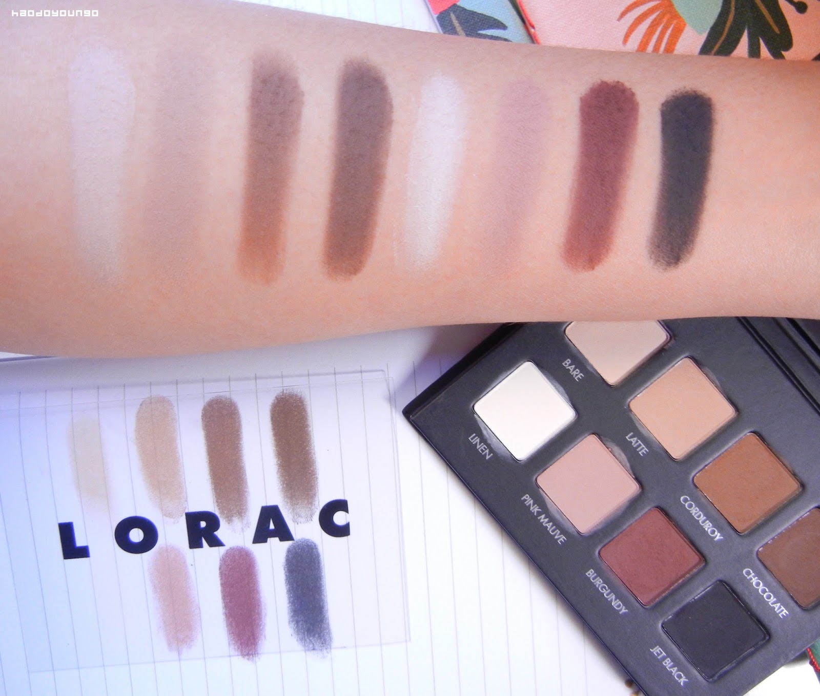 Review & Swatches: Lorac Pro Matte Palette | haodoyoungo