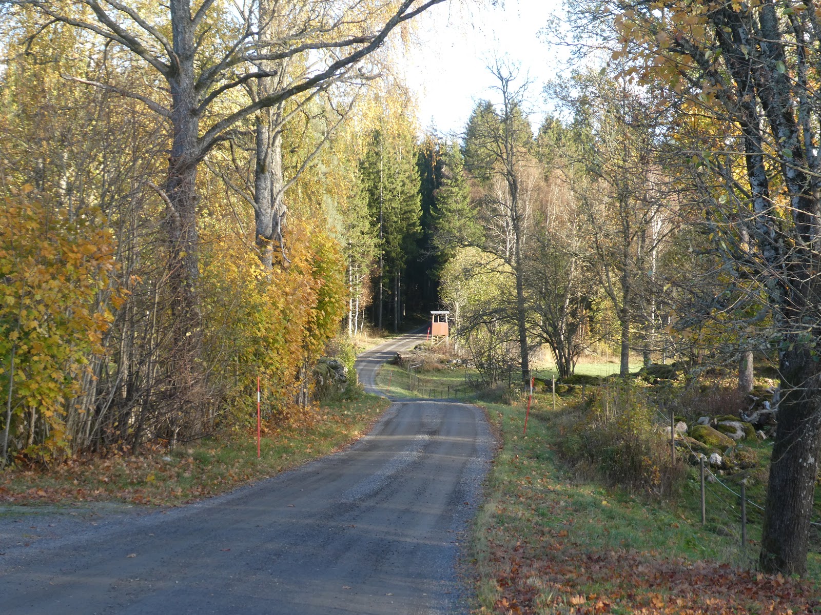 Skånska Resor: På cykel till Loshult