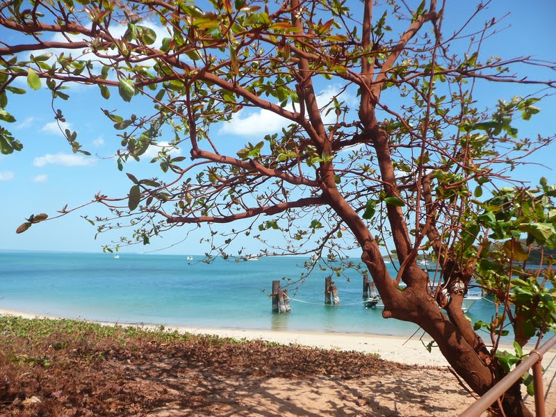 The Clarke's Aussie Adventure: 19 August 2011 - Seisia Caravan Park ...