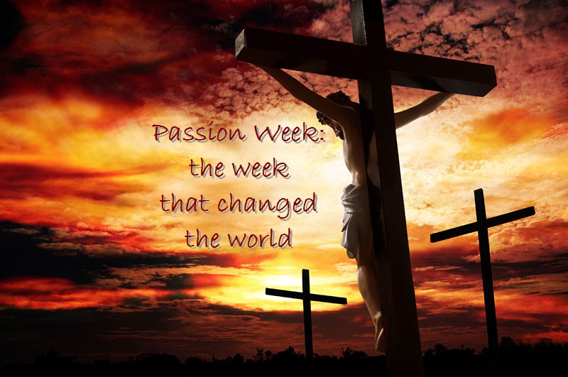 Living in the Peace Zone: Passion Week -- Holy Monday