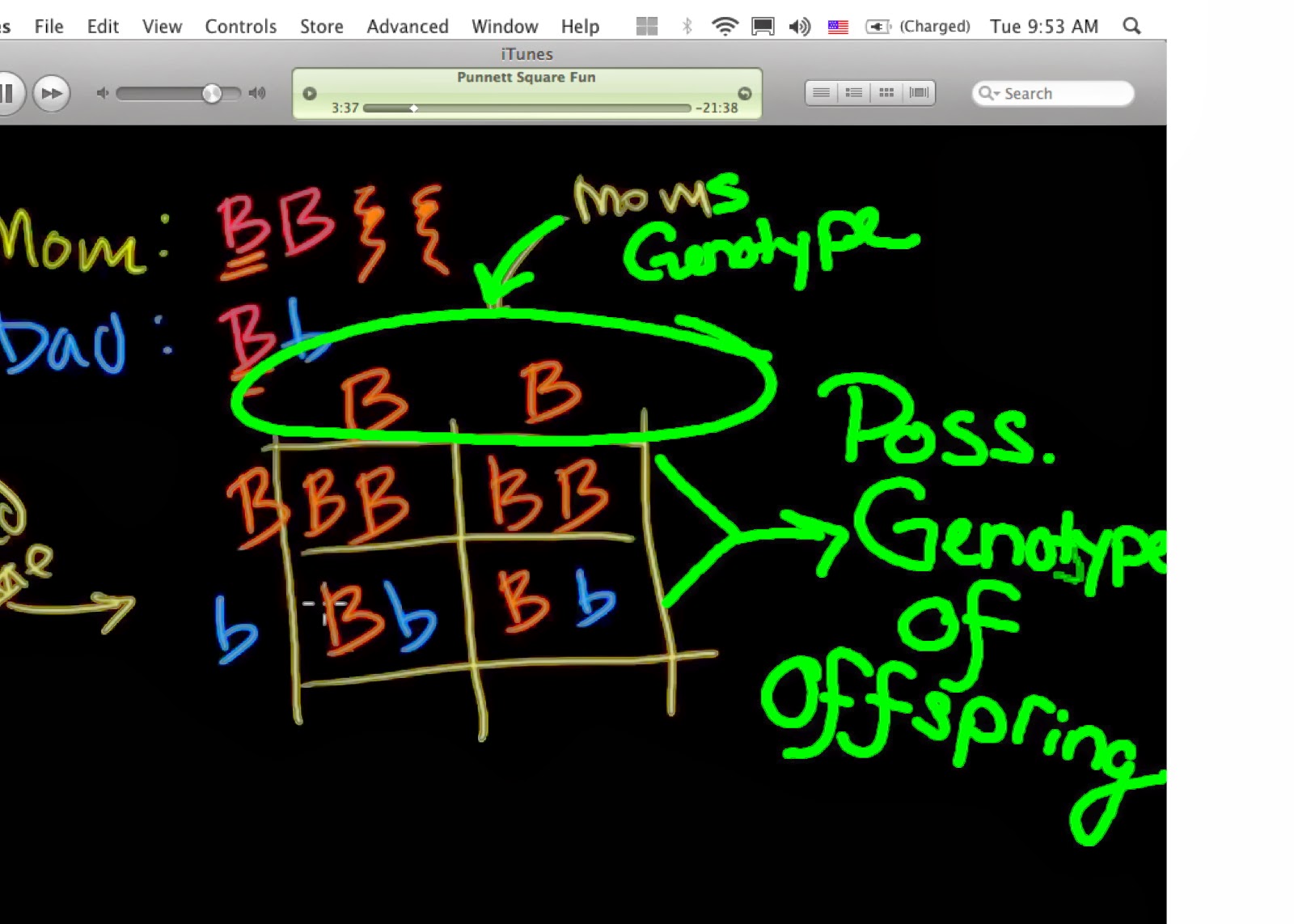 EC Honors Biology: Punnett Square Practice